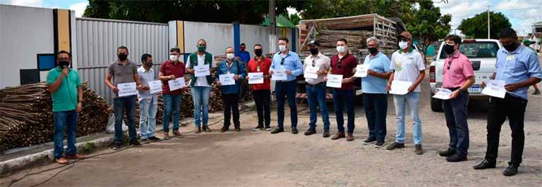 Rio Tinto adquire maniva de mandioca da Embrapa para produção agrícola ...